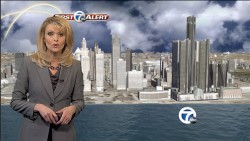 Hally Vogel - WXYZ 7 Detroit - TvNewsCaps
